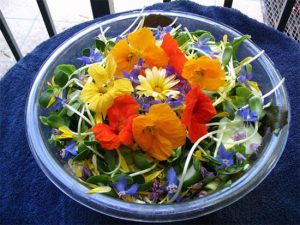 Tender Rose Petals for Food Decoration and Gourmet Recipes