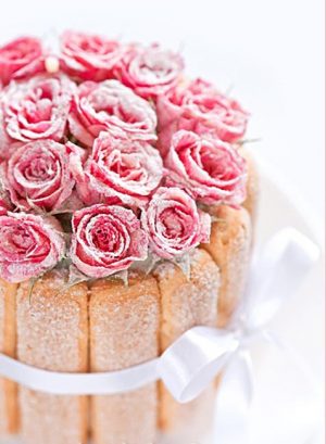 Tender Rose Petals for Food Decoration and Gourmet Recipes