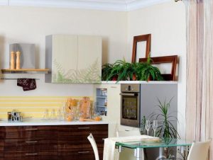 Fern Decor for Room Windows Facing North and Interiors Lacking Sunshine