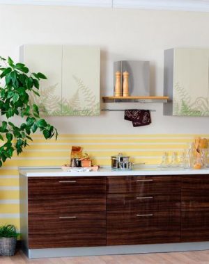 Fern Decor for Room Windows Facing North and Interiors Lacking Sunshine