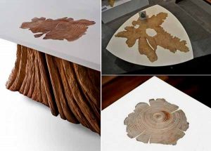 Modern Coffee Tables with Tree Growth Rings, Unique Furniture Design Ideas