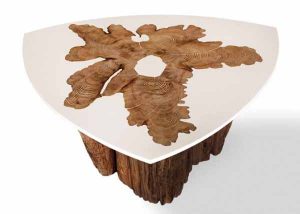 Modern Coffee Tables with Tree Growth Rings, Unique Furniture Design Ideas
