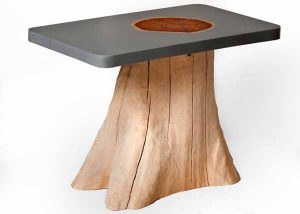 Modern Coffee Tables with Tree Growth Rings, Unique Furniture Design Ideas