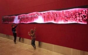 Digital Wall Panel and Smart Window Designs, Modern Interior Design Ideas