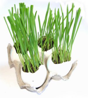 10 Easter Decorations Made of Egg Shells, Creative Easter Ideas and ...