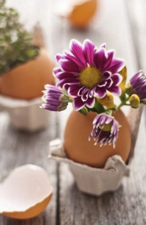 10 Easter Decorations Made of Egg Shells, Creative Easter Ideas and ...