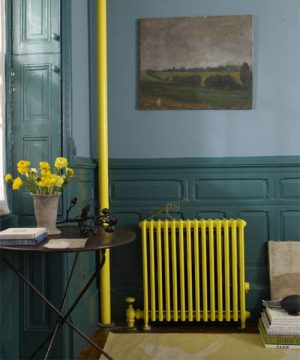 Painting Old Heaters and Cast Iron Radiators, Stylish Accents in Retro ...