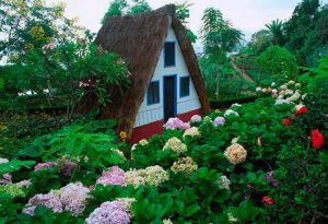 Thatched Roofing for Gazebos and Sheds, Gorgeous Backyard Designs