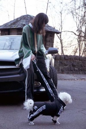 Adidas Sportswear and Sneakers for Small Dogs, Fun Pet Design Ideas