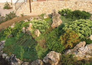 Rock Garden Design Tips, 15 Rocks Garden Landscape Ideas