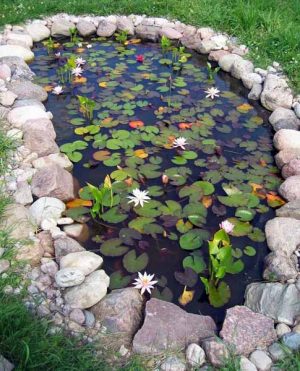 21 Garden Design Ideas, Small Ponds Turning Your Backyard Landscaping ...
