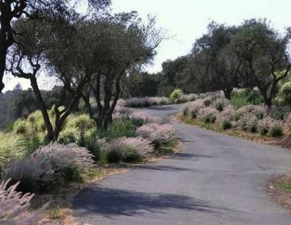 Charming Country Home Driveways, Natural Driveway Landscaping Ideas Charming Country Home Driveways, Natural Driveway Landscaping Ideas