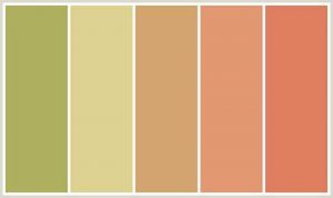 Terracotta Orange Colors and Matching Interior Design Color Schemes