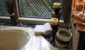 Modern Interior Design and Backyard Landscaping Ideas Bringing Stone ...