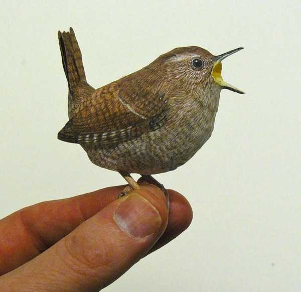 Amazingly Realistic 3d Paper Birds Inspiring Paper Crafts And Artworks