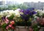 21 Green Ideas for Beautiful Balcony Decorating with Flowers