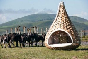 Hanging Beds Combining Comfortable Design and Unique Bird Nest Shape