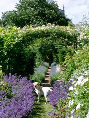 Natural Backyard Landscaping Ideas, Save Money Creating Wildlife ...