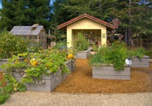 20 Raised Bed, Garden Designs and Beautiful Backyard Landscaping Ideas