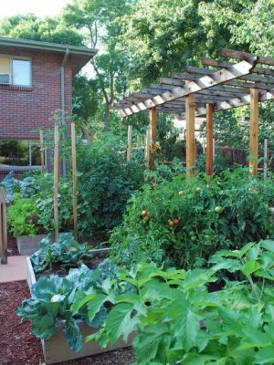 20 Raised Bed, Garden Designs and Beautiful Backyard Landscaping Ideas
