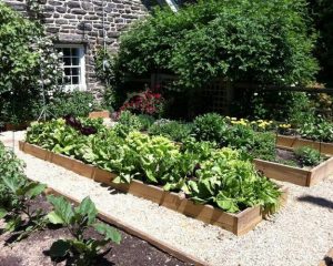 20 Raised Bed, Garden Designs and Beautiful Backyard Landscaping Ideas