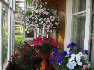 22 Creative Window Treatments and Summer Decorating Ideas