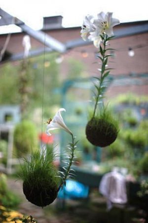 30 Modern Ideas for Outdoor Home Decorating with Flowers and Plants
