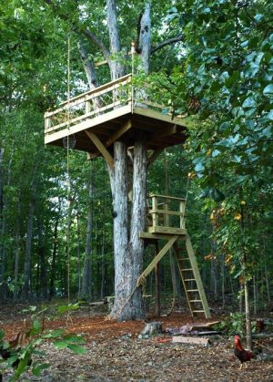 30 Tree Perch and Lookout Deck Ideas Adding Fun DIY Structures to ...