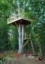 30 Tree Perch and Lookout Deck Ideas Adding Fun DIY Structures to ...