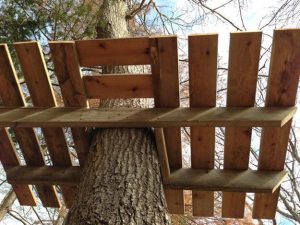 30 Tree Perch and Lookout Deck Ideas Adding Fun DIY Structures to ...