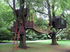 30 Tree Perch and Lookout Deck Ideas Adding Fun DIY Structures to ...