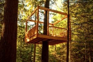 30 Tree Perch and Lookout Deck Ideas Adding Fun DIY Structures to ...