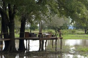 30 Tree Perch and Lookout Deck Ideas Adding Fun DIY Structures to ...