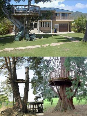 30 Tree Perch and Lookout Deck Ideas Adding Fun DIY Structures to ...