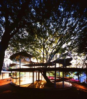 30 Tree Perch and Lookout Deck Ideas Adding Fun DIY Structures to ...