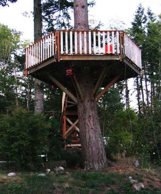30 Tree Perch and Lookout Deck Ideas Adding Fun DIY Structures to ...
