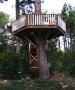 30 Tree Perch and Lookout Deck Ideas Adding Fun DIY Structures to ...