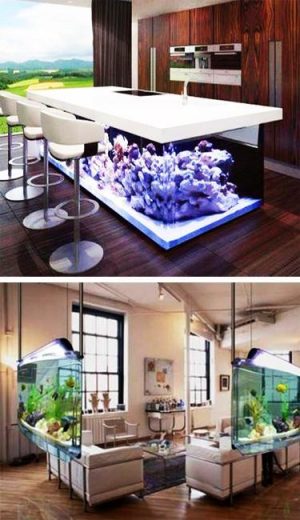 35 Unusual Aquariums and Custom Tropical Fish Tanks for Unique Interior ...