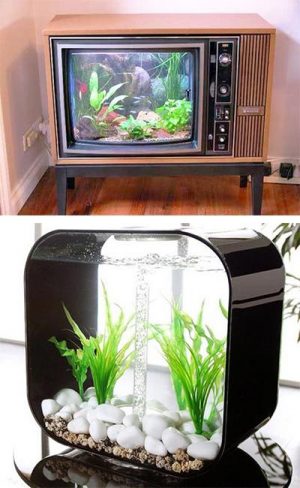 35 Unusual Aquariums and Custom Tropical Fish Tanks for Unique Interior ...