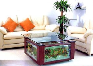 Spectacular Aquariums, Personalizing Interior Design with Colorful ...
