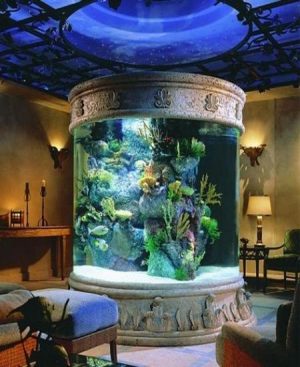Spectacular Aquariums, Personalizing Interior Design with Colorful ...