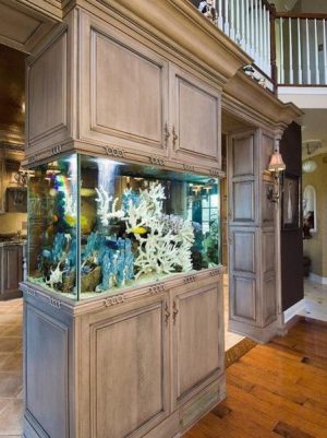 Spectacular Aquariums, Personalizing Interior Design with Colorful ...