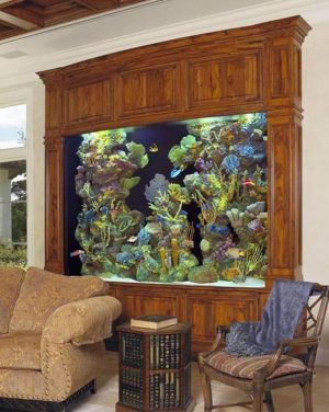 Spectacular Aquariums, Personalizing Interior Design with Colorful ...