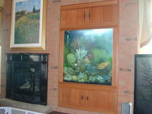 Spectacular Aquariums, Personalizing Interior Design with Colorful ...