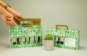 Unusual Green Design Ideas, Clear Plastic Vest and Stroller for ...