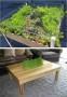 Modern Tables with Miniature Gardens and Grass