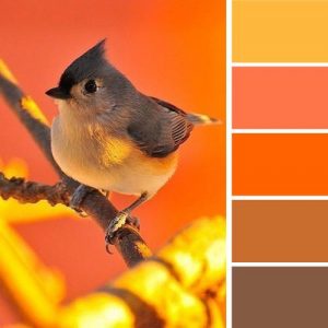 33 Orange Color Schemes, Inspiring Ideas for Modern Interior Decorating ...