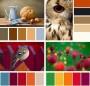33 Orange Color Schemes, Inspiring Ideas for Modern Interior Decorating ...