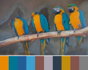 33 Orange Color Schemes, Inspiring Ideas for Modern Interior Decorating ...