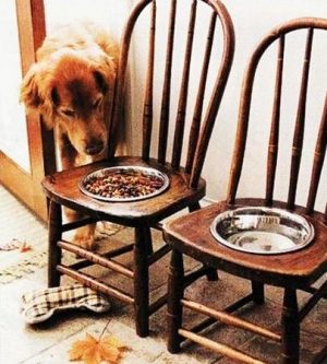 22 Creative Ways to Reuse and Recycle Old Chairs